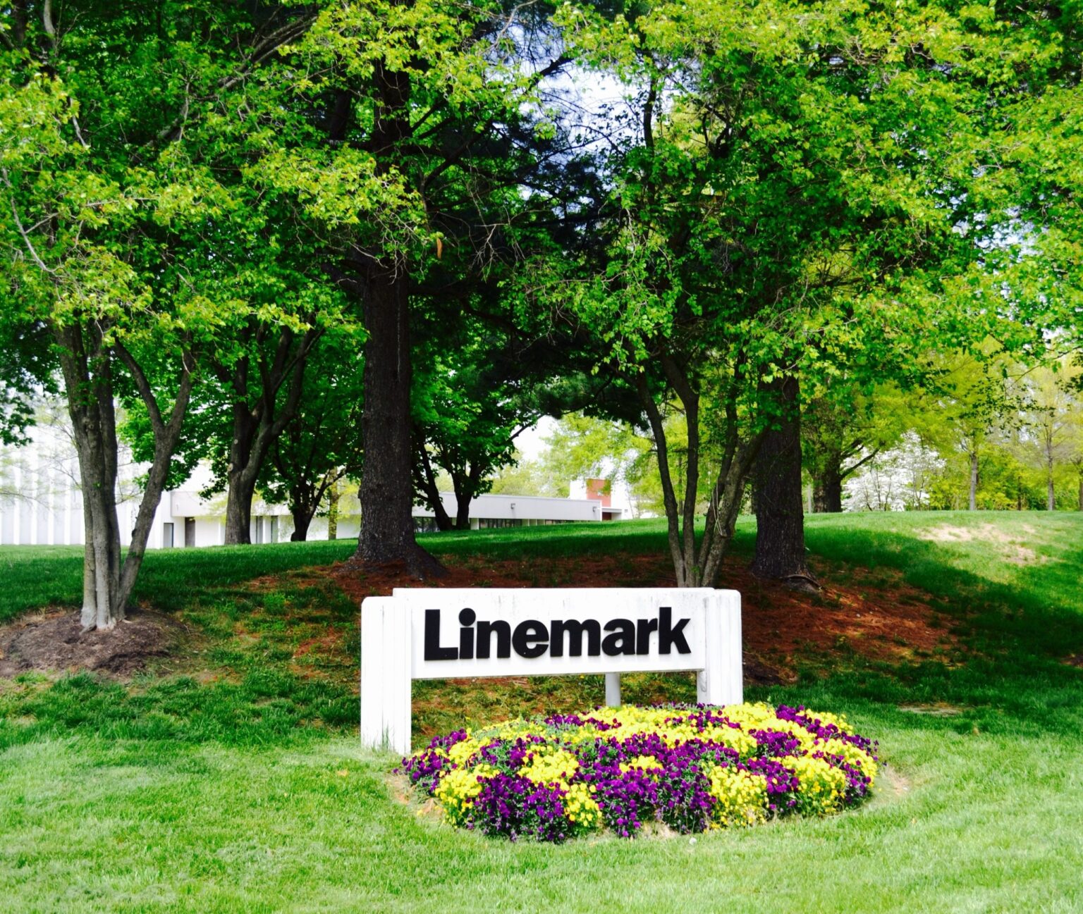Linemark Transforms Complexity Into Efficiency - Print & Promo Marketing